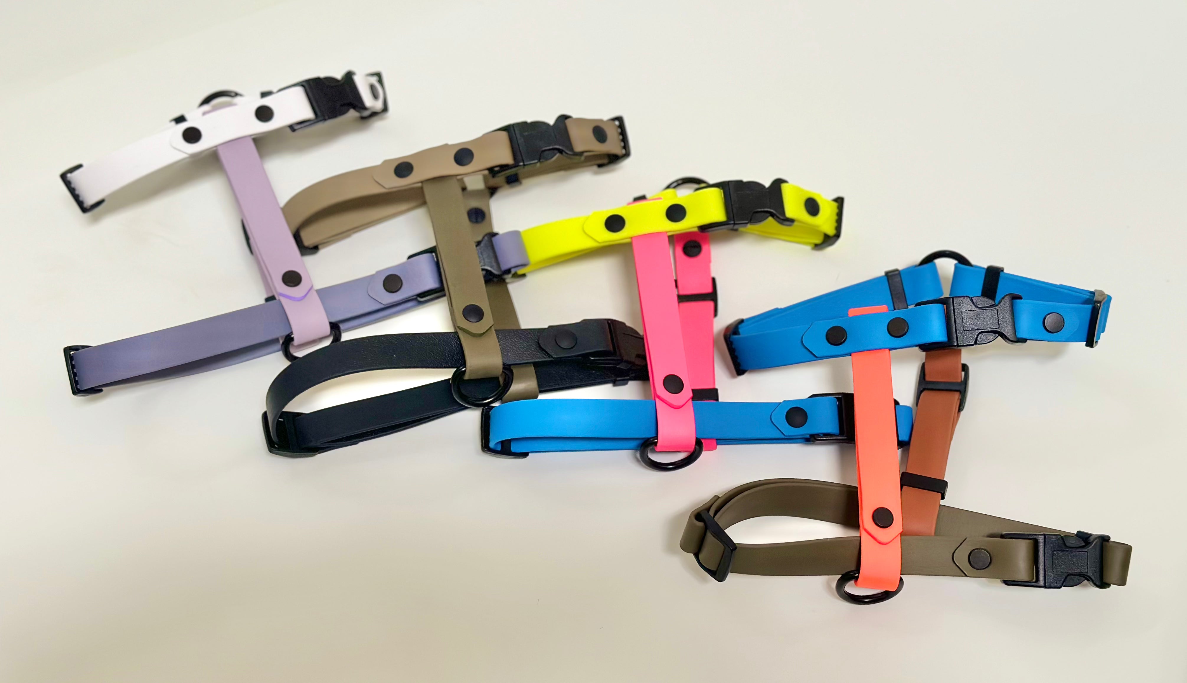 Harnesses – dog people